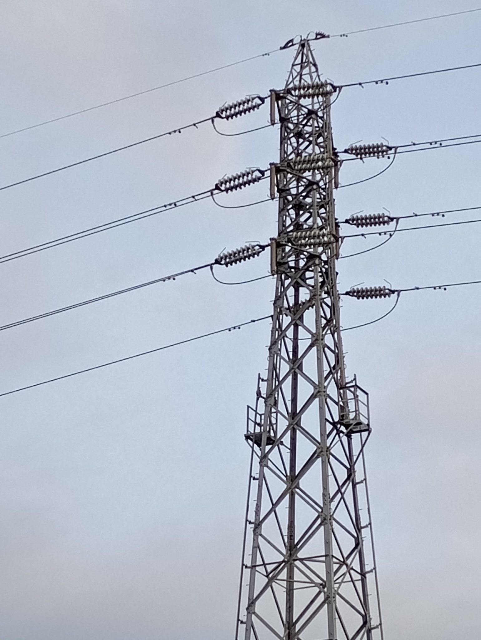 moto g24 実機レビュー！約2万円の安くてスタイリッシュなエントリー機【スペックは控えめ】 | スマホメーション